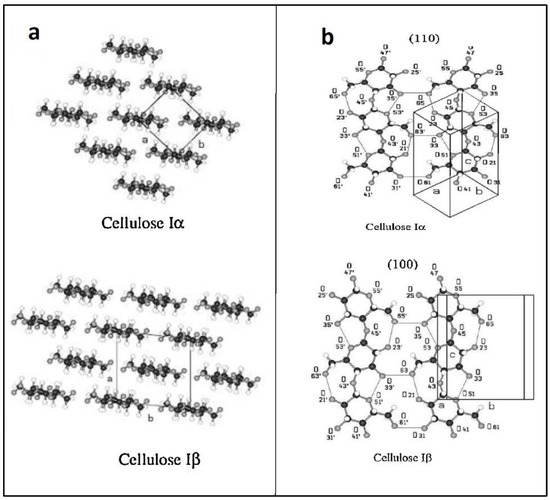 Recent Advances in Development of Natural Cellulosic Non-Woven ...
