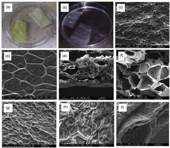 Recent Advances in Development of Natural Cellulosic Non-Woven ...