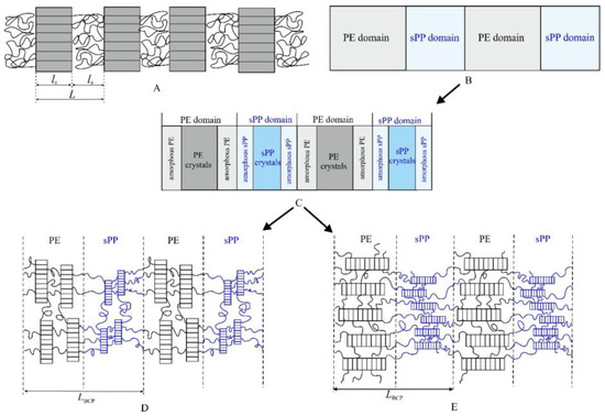 Structure and Morphology of Crystalline Syndiotactic Polypropylene ...