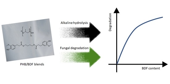 Polymers | Free Full-Text | Impact of Bis-O-dihydroferuloyl-1,4 ...