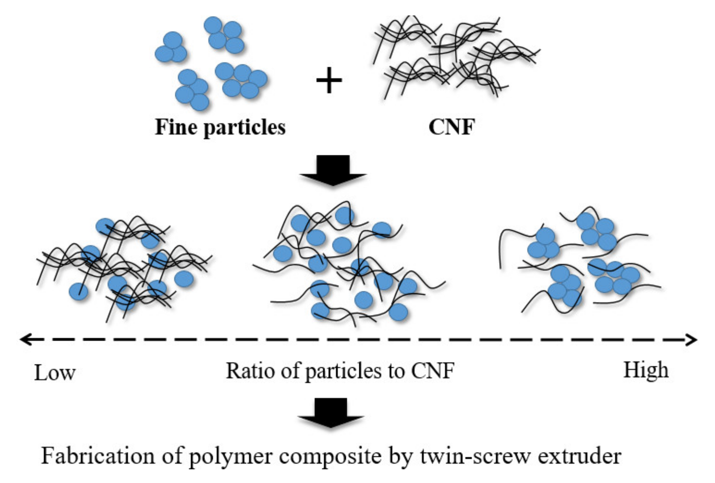 Facile Preparation of Cellulose Fiber Reinforced Polypropylene Using ...