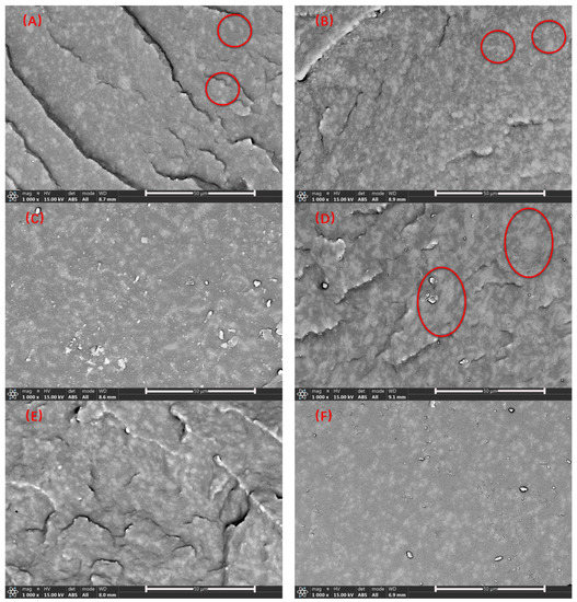 A Morphological Study of Dynamically Vulcanized Styrene-Ethylene ...