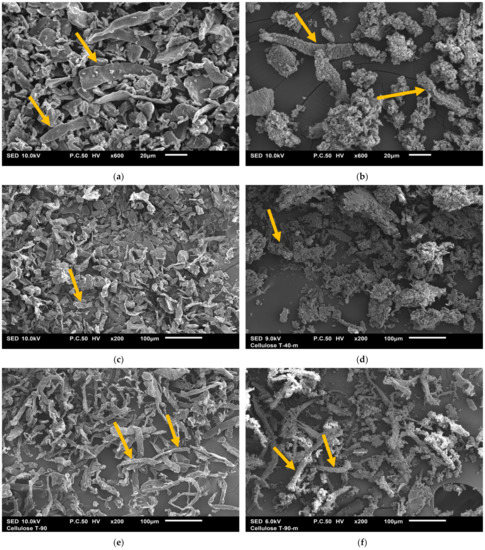 Reactive Cellu-mers—A Novel Approach to Improved Cellulose/Polymer ...