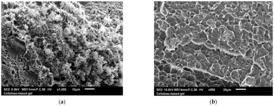 Reactive Cellu-mers—A Novel Approach to Improved Cellulose/Polymer ...