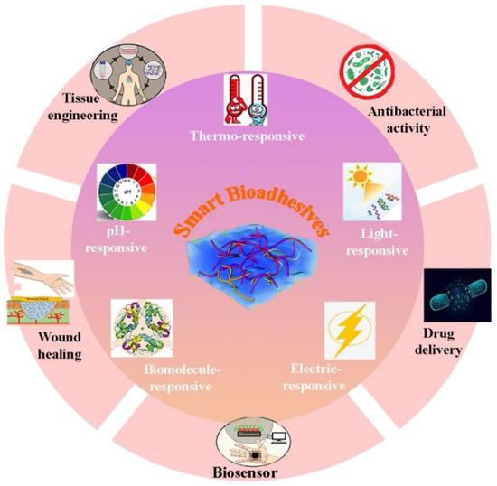 Cutting-Edge Progress in Stimuli-Responsive Bioadhesives: From ...