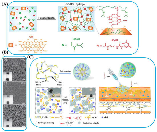 Cutting-Edge Progress in Stimuli-Responsive Bioadhesives: From ...