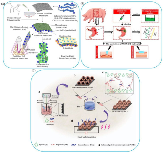 Cutting-Edge Progress in Stimuli-Responsive Bioadhesives: From ...