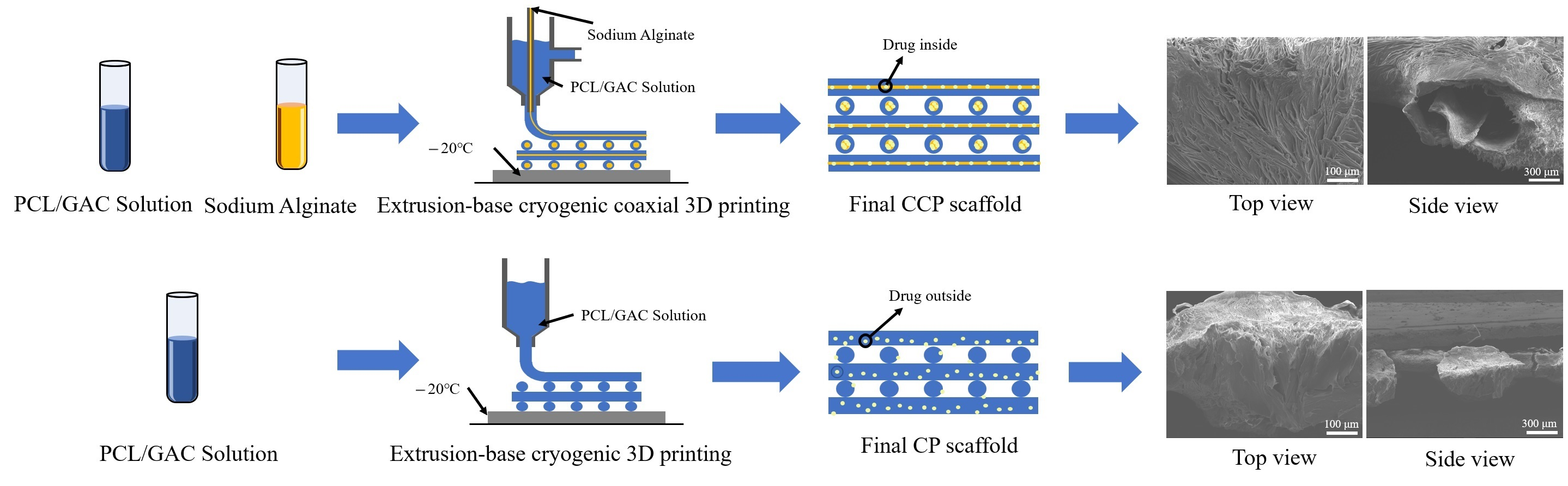 Polymers | Free Full-Text | Cryogenic Coaxial Printing for 3D Shell/Core Tissue Engineering ...