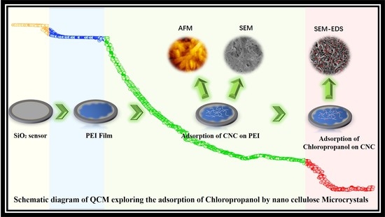 Polymers | Free Full-Text | Adsorption Mechanism of Chloropropanol by ...