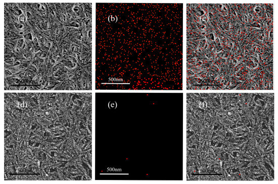 Adsorption Mechanism of Chloropropanol by Crystalline Nanocellulose