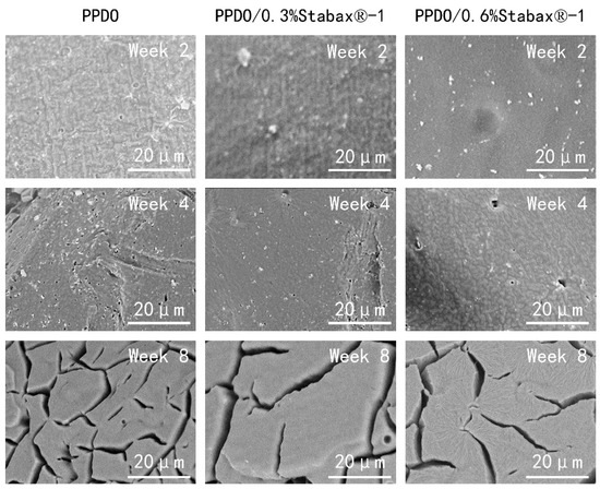 Polymers | Free Full-Text | 3D-Printed Poly (P-Dioxanone) Stent for ...