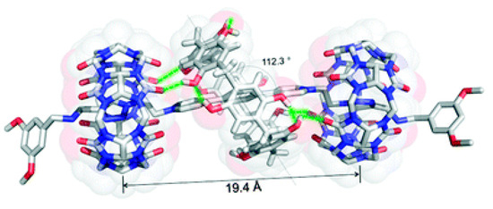 Hybrid Macrocyclic Polymers: Self-Assembly Containing Cucurbit[m]uril ...
