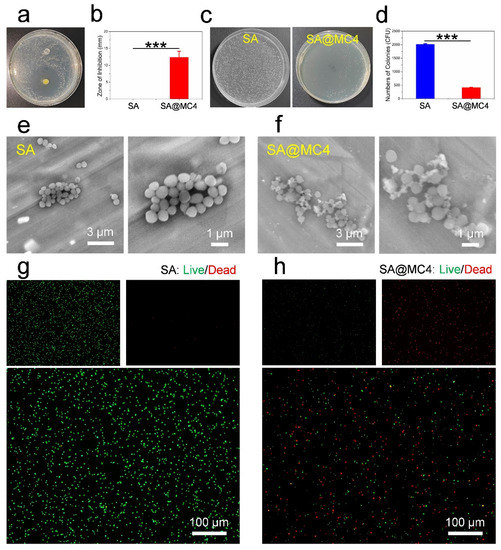 Sustained and Microenvironment-Accelerated Release of Minocycline from ...