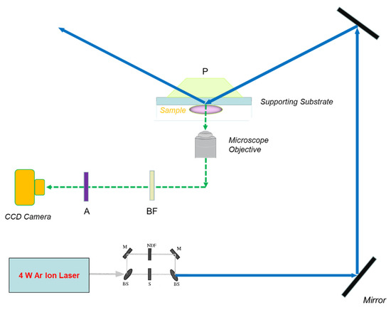 Polymers | Free Full-Text | Recent Advances in Fluorescence Recovery ...
