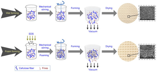 Overview on Foam Forming Cellulose Materials for Cushioning Packaging ...