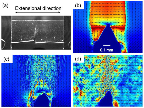Polymers | Free Full-Text | Relating Amorphous Structure to the Tear ...