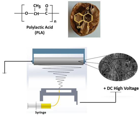 Fabrication of Electrospun Juglans regia (Juglone) Loaded Poly(lactic acid) Scaffolds as a ...