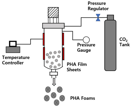 Supercritical CO2 Foaming of Poly(3-hydroxybutyrate-co-4-hydroxybutyrate)