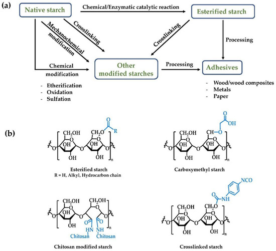 Modified Starch-Based Adhesives: A Review