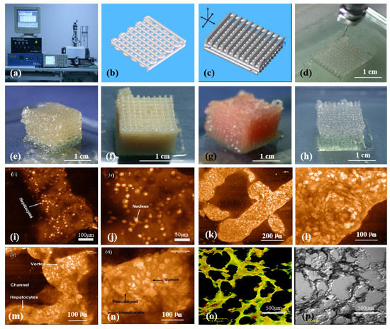 Polymers | Free Full-Text | Application Status of Sacrificial ...