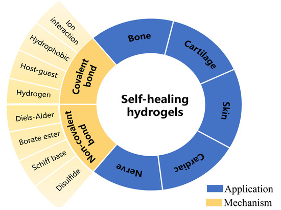 Polymers | Special Issue : Biomedical Applications of Intelligent Hydrogel