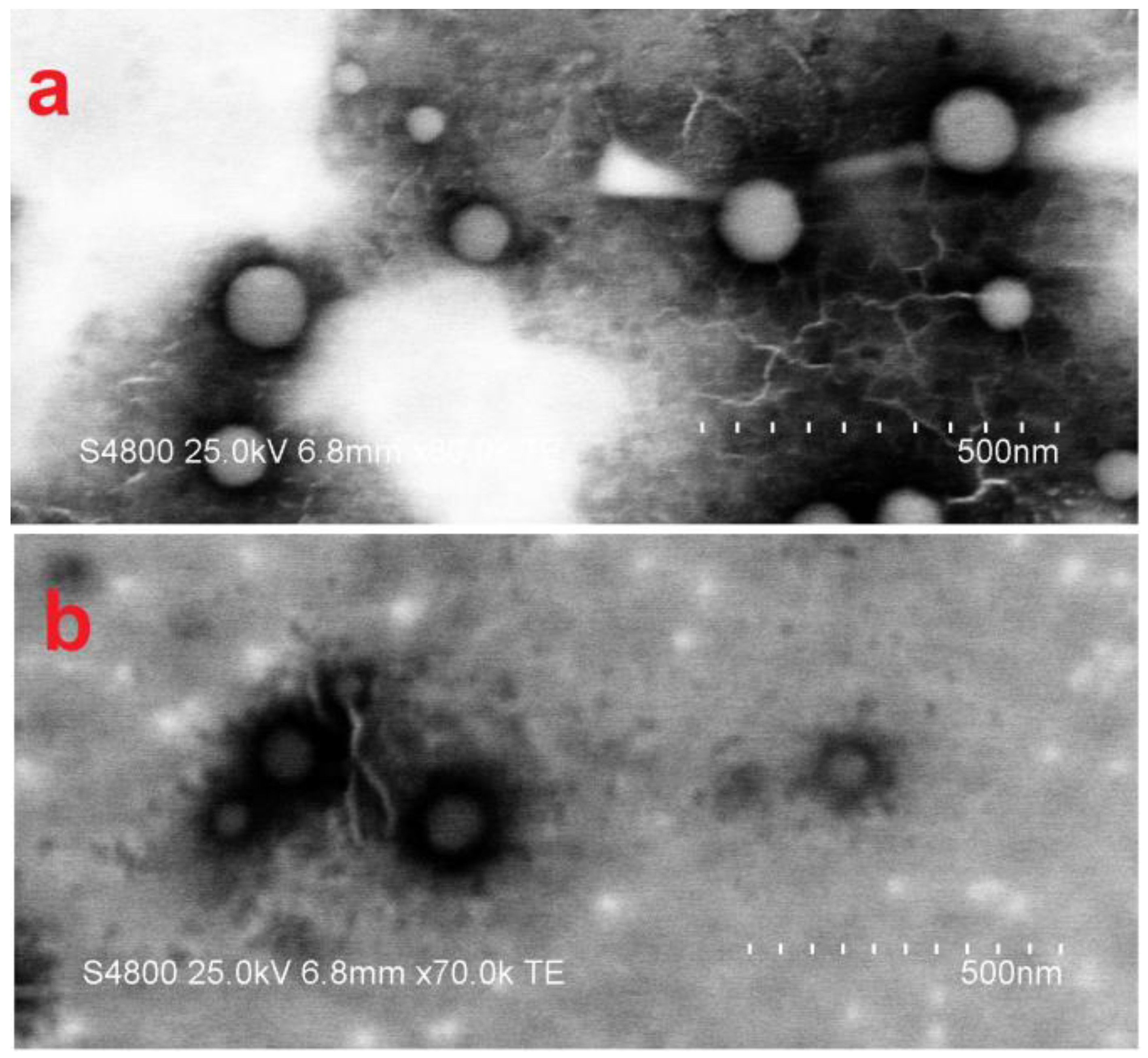 Synthesis and Application of Reactive Acrylic Latexes: Effect of ...