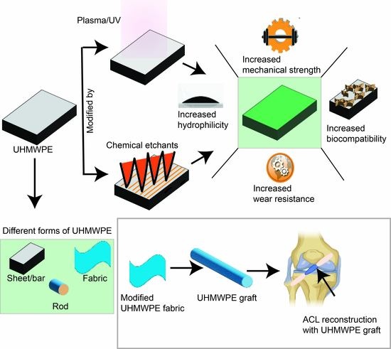 Polymers | Free Full-Text | Functional Ultra-High Molecular Weight ...