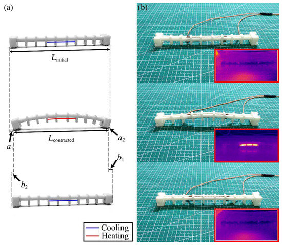 A Proprioceptive Soft Robot Module Based on Supercoiled Polymer ...