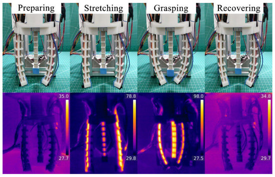 A Proprioceptive Soft Robot Module Based on Supercoiled Polymer ...