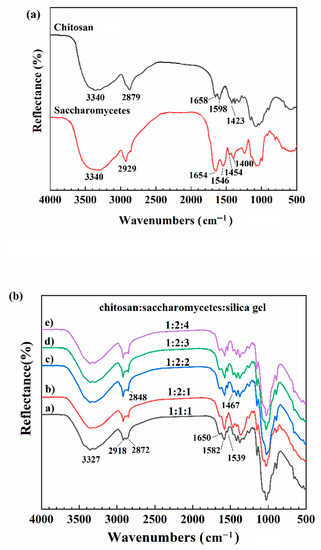 Polymers | Editor's choice