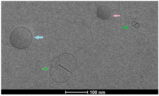 Polymers | Special Issue : Advances in Smart Polymers and Materials