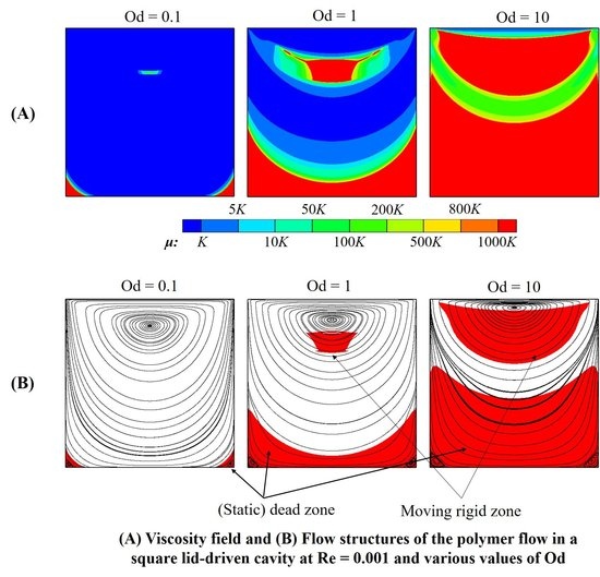 Polymers | Free Full-Text | Flow Behaviors of Polymer Solution in a Lid ...