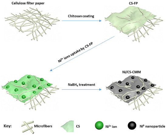 Polymers | Free Full-Text | Chitosan: A Sustainable Material for ...