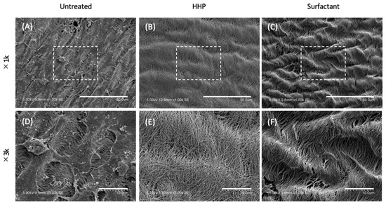 In Vitro Tissue Reconstruction Using Decellularized Pericardium ...