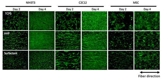 In Vitro Tissue Reconstruction Using Decellularized Pericardium ...