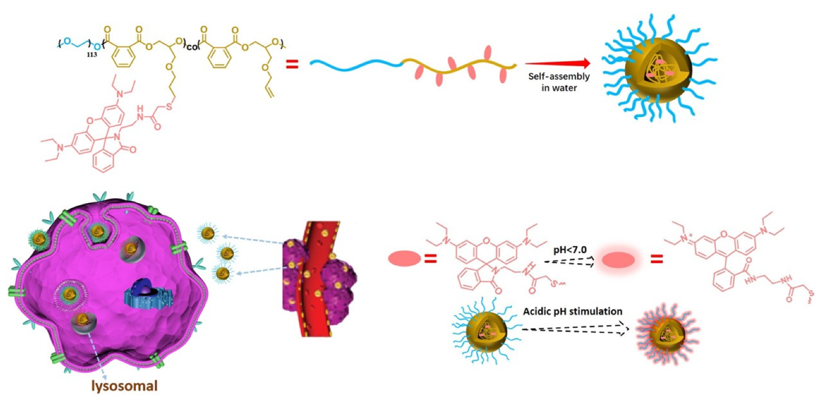 A Facile Fabrication of Lysosome-Targeting pH Fluorescent Nanosensor ...