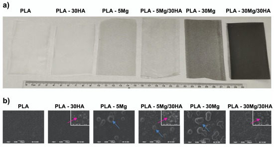 The Effect of Ca2+ and Mg2+ Ions Loaded at Degradable PLA Membranes on ...
