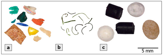 Characteristics of Microplastics and Their Affiliated PAHs in Surface ...