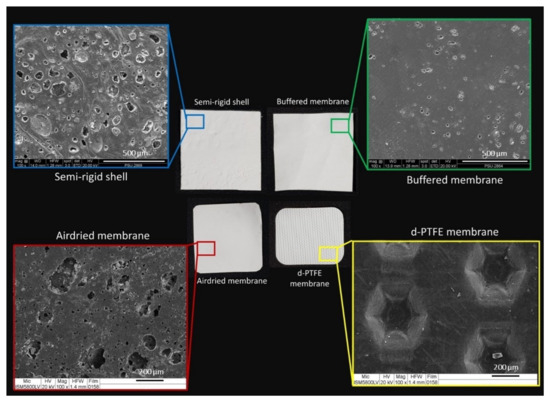 In Vitro Biocompatibility of a Novel Semi-Rigid Shell Barrier System ...