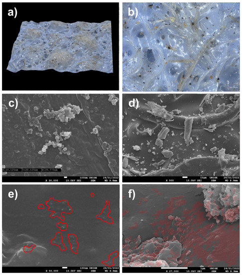 Polymers | Free Full-Text | The Impact of Particulate Matters and ...