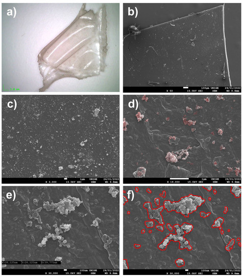 Polymers | Free Full-Text | The Impact of Particulate Matters and ...