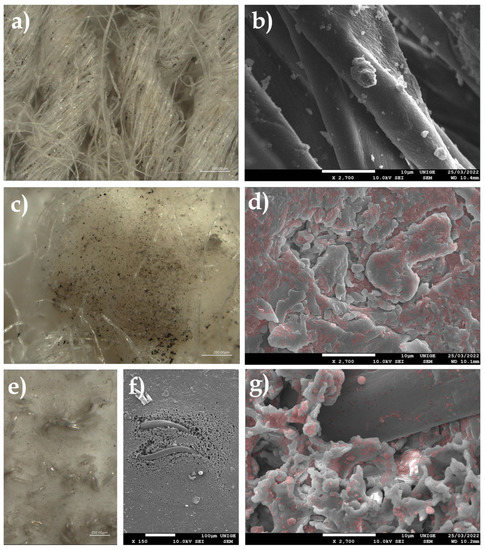 Polymers | Free Full-Text | The Impact of Particulate Matters and ...