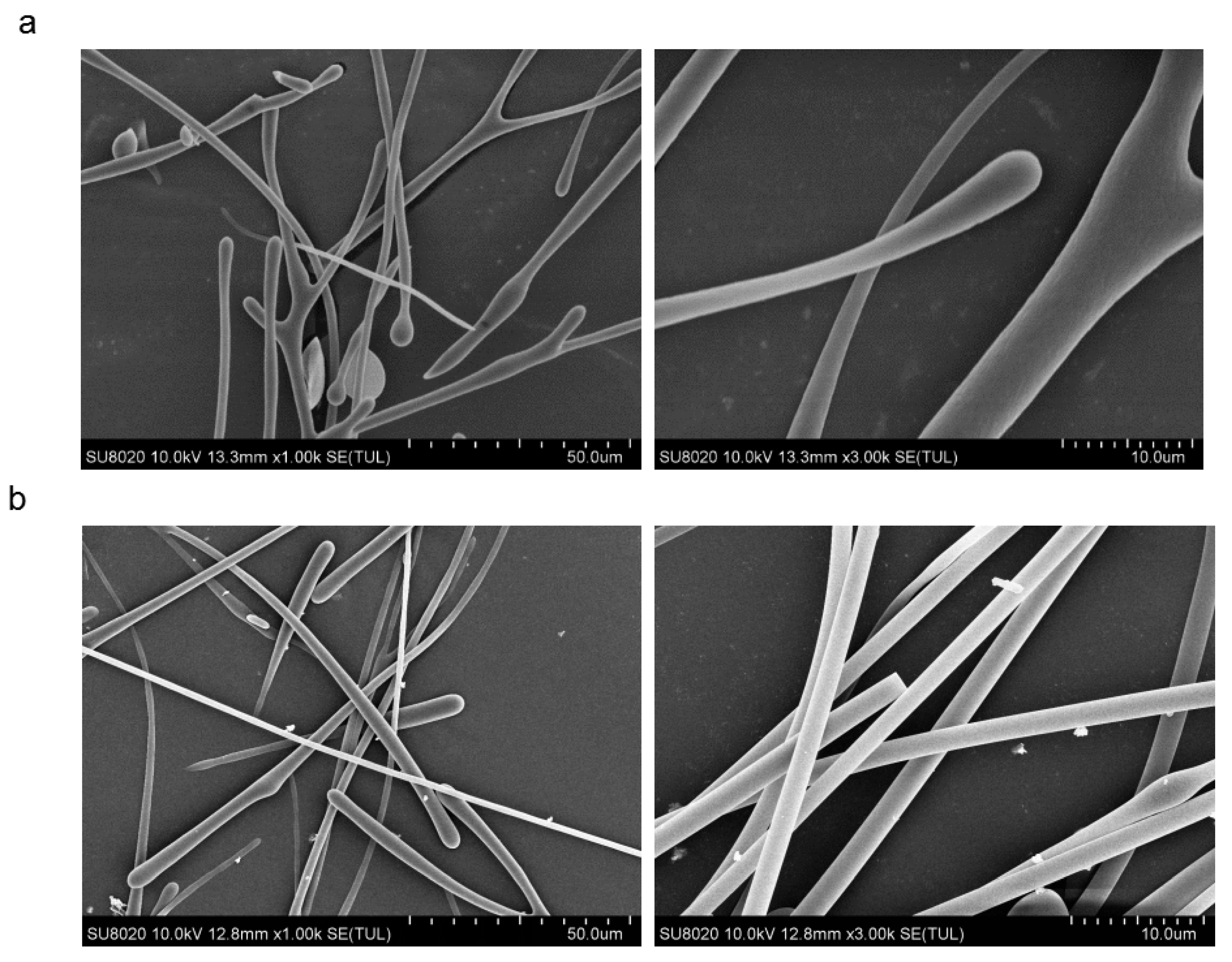 Preparation and Release of pH-Sensitive β-Cyclodextrin Derivative ...