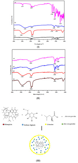 Polymeric Microparticles: Synthesis, Characterization and In Vitro ...