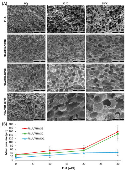 Effect of Polyhydroxyalkanoate (PHA) Concentration on Polymeric ...