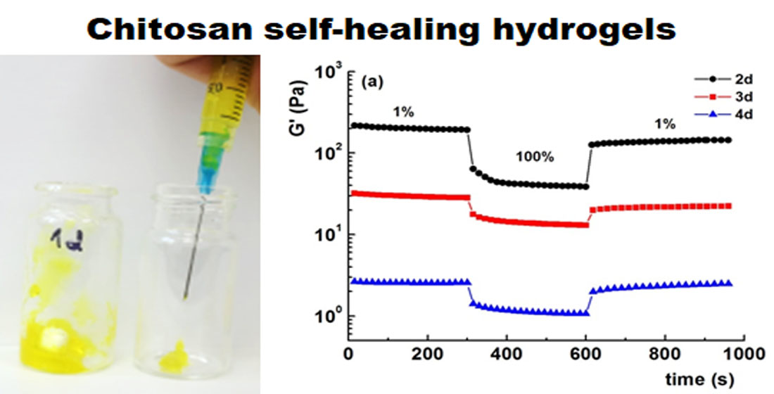 Polymers | Free Full-Text | Self-Healing Chitosan Hydrogels ...