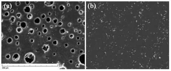 Polyurea for Blast and Impact Protection: A Review