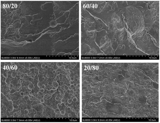 Investigation of the Crystallization Kinetics and Melting Behaviour of ...