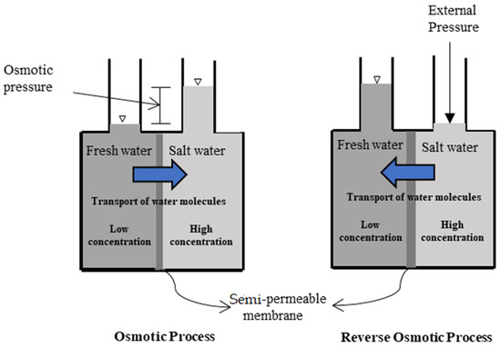 A Review on the Development of an Integer System Coupling Forward ...