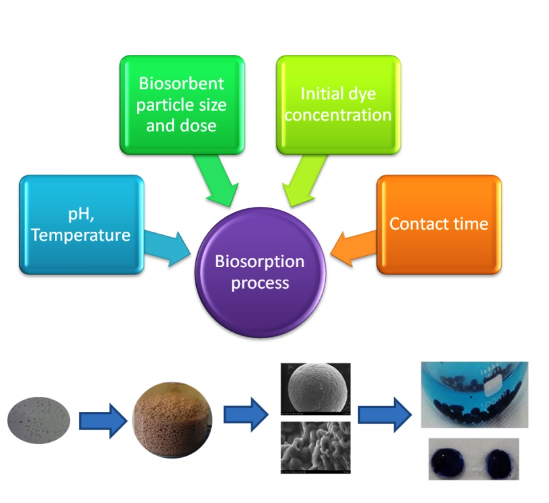 Polymers | Free Full-Text | Biosorbents Based on Biopolymers from ...